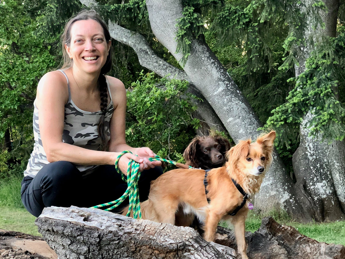 Grisha Stewart Online Store for Dog Training Products That Empower!