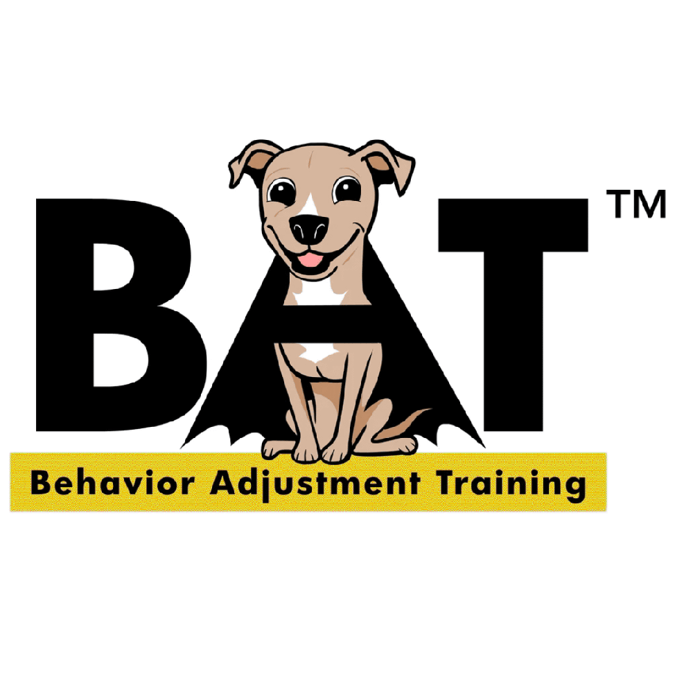 Learning Online - Grisha Stewart Dog Store