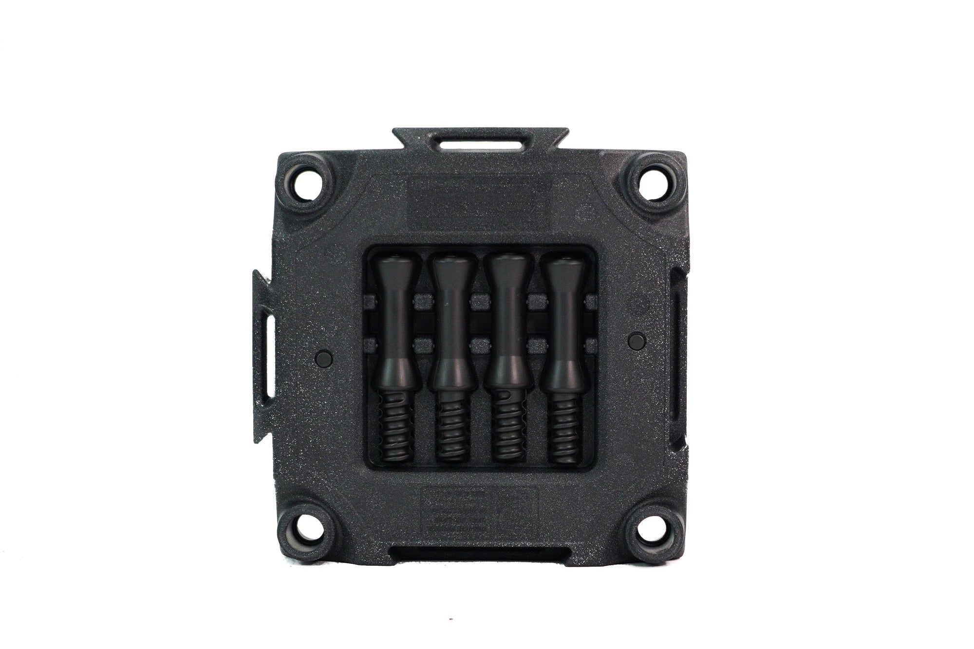 Extras - Grisha Stewart Dog Store