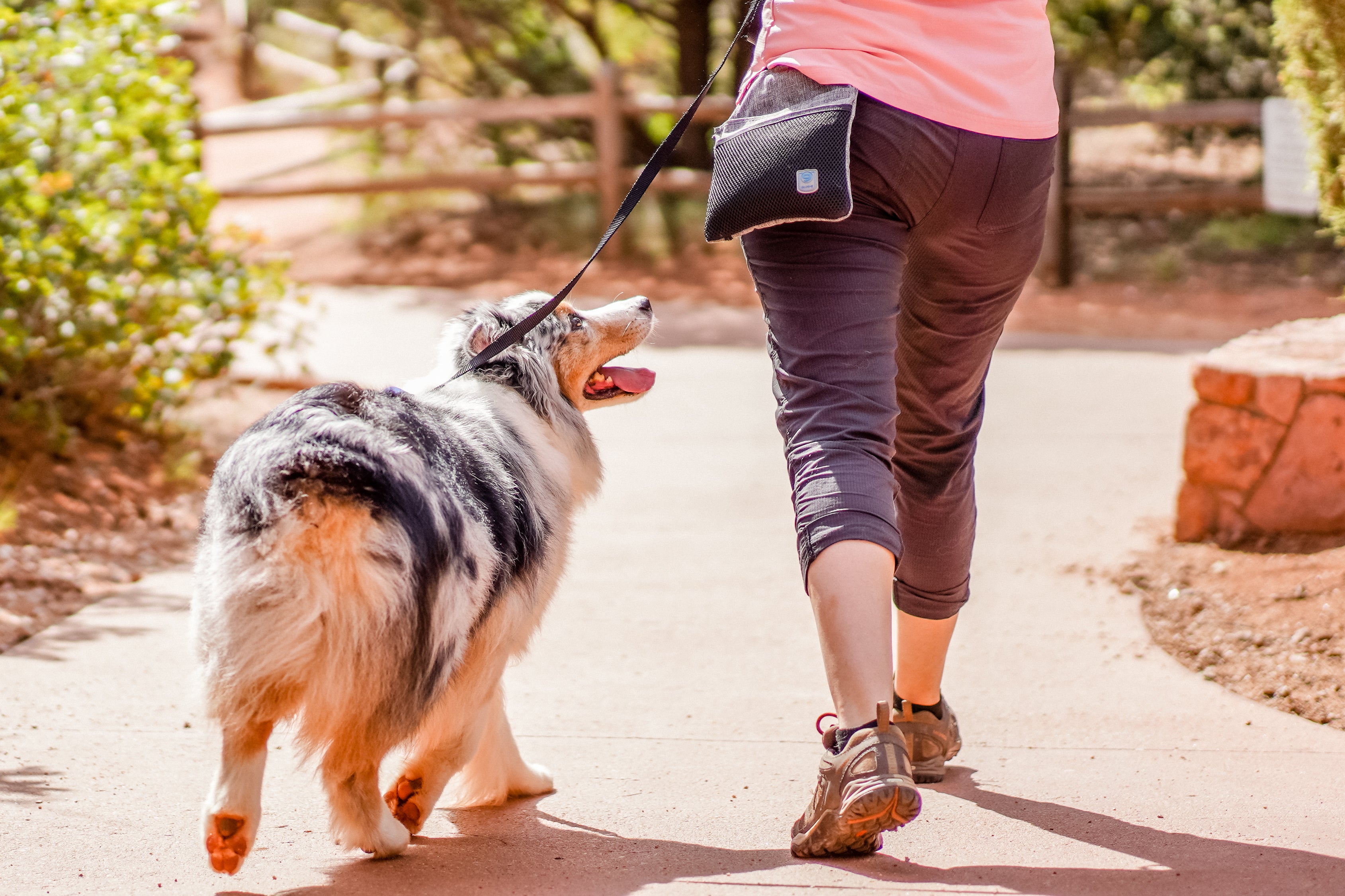 Equipment - Grisha Stewart Dog Store